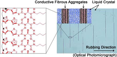 6) Functional Polymer Materials, Functional Molecular Assemblies